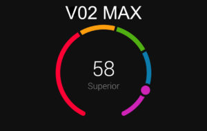 V02 Max Chart By Age - Male and Female - 5KRunning.com